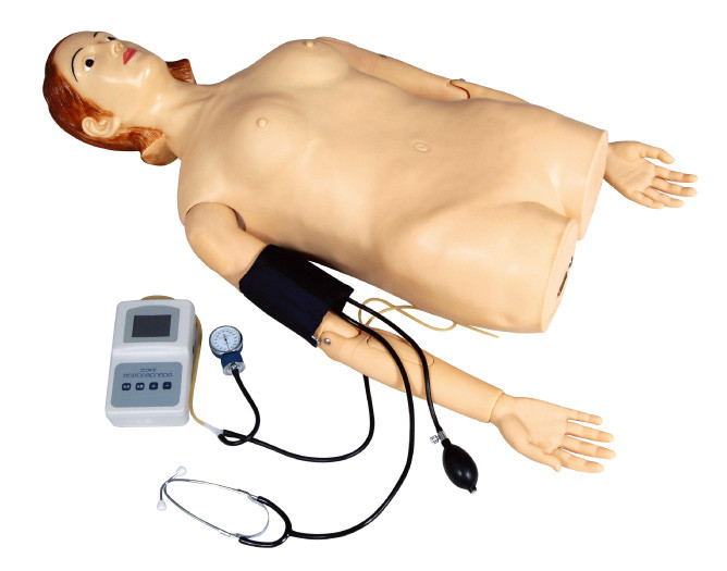 Weiblicher Halb K rper Abtasten Simulator Mit Blut Druckmessung F r 
